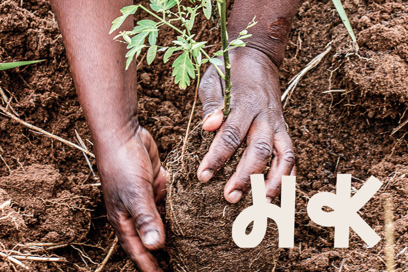 Farm - Humbi brings out the best in you.